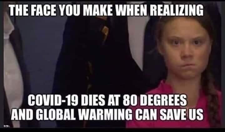 15 Greta Thunberg Memes That Will Make You Laugh Out Loud