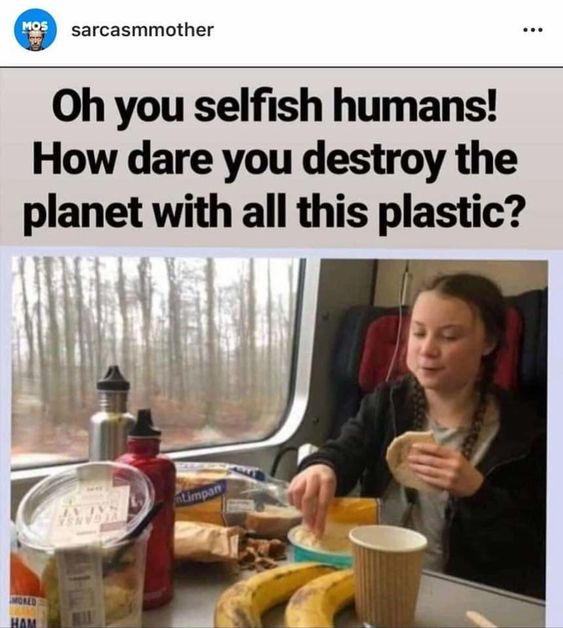 15 Greta Thunberg Memes That Will Make You Laugh Out Loud