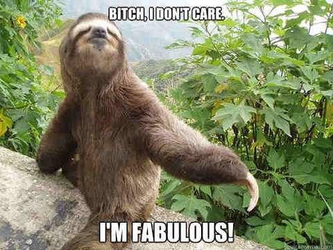 15 Sloth Memes - Hilarious Witty Sloth Puns [2023 Update]