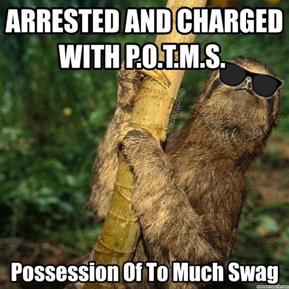 15 Sloth Memes - Hilarious Witty Sloth Puns [2023 Update]