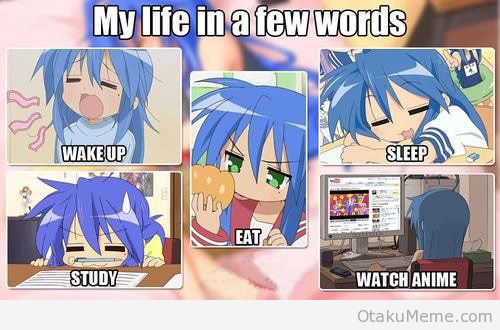 15 Anime Memes That You Won't Find Elsewhere