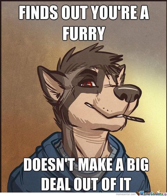HUGE Furry Meme Library - 15 Golden Puns