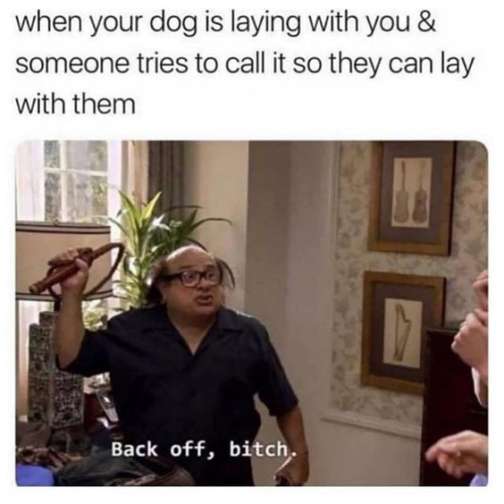 Danny DeVito Memes - 15+ Hilarious Puns & Memes