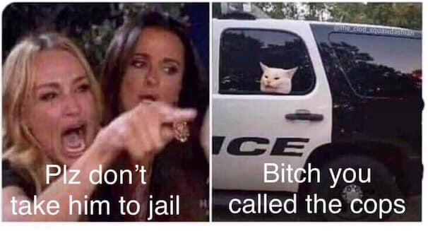 15 Policeman Memes That Will Make You Laugh