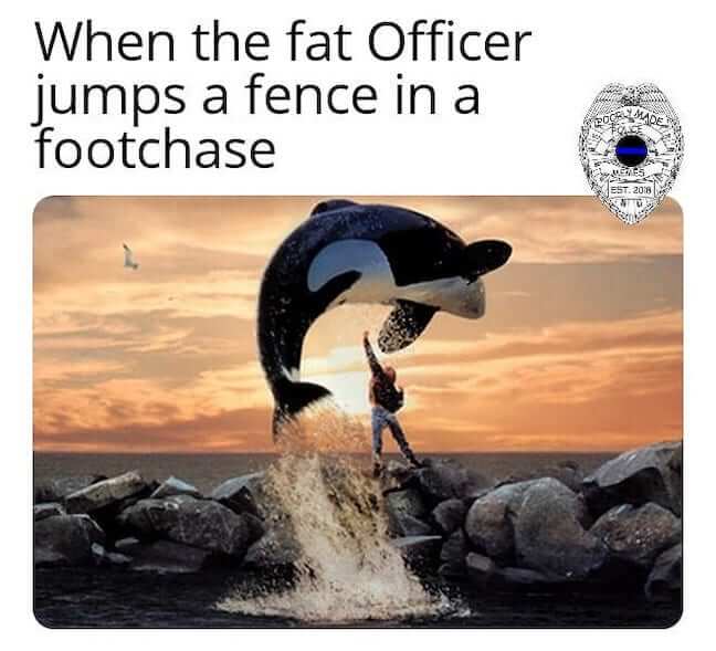 15 Policeman Memes That Will Make You Laugh