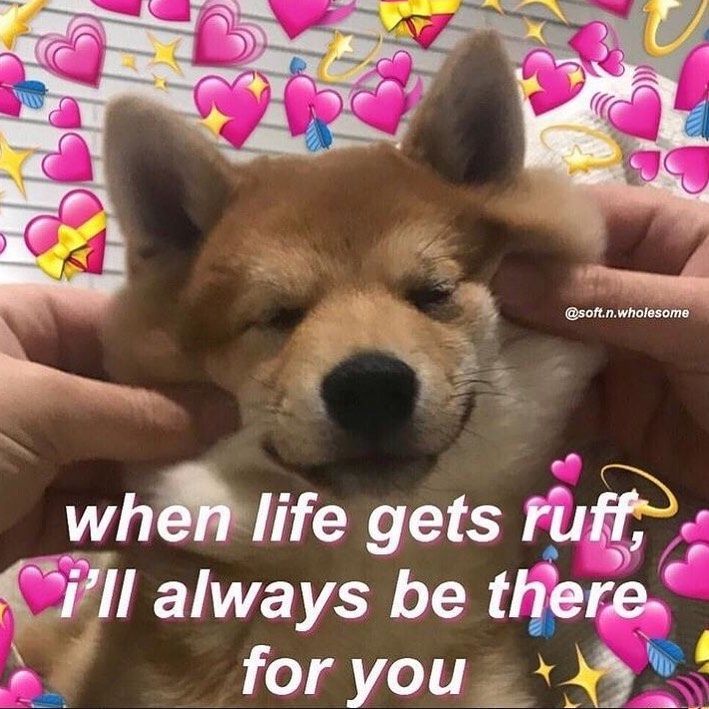 15 Cute Memes: Brand new Memes Updated for 2023
