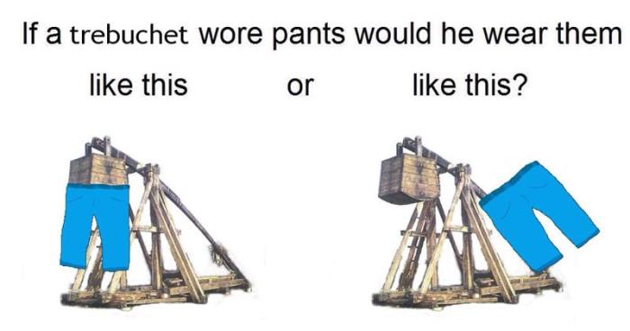 Massive Trebuchet Meme Collection - 14+ Hilarious Puns