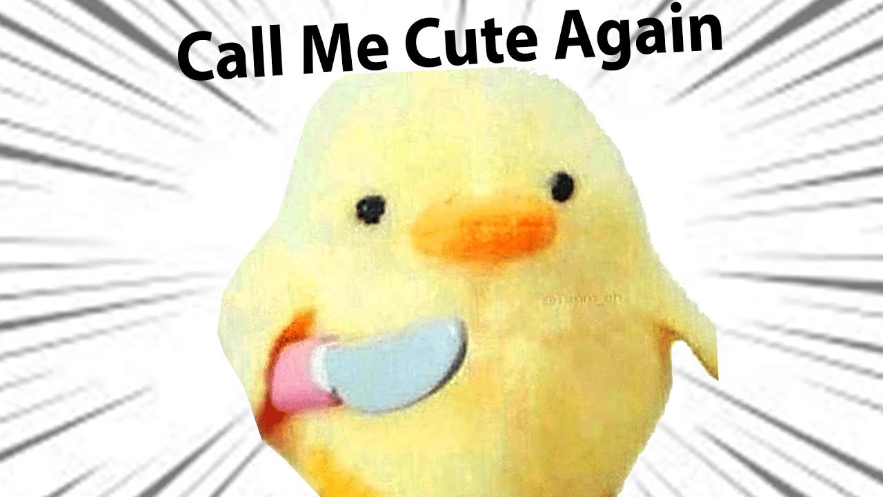 15 Cute Memes: Brand new Memes Updated for 2023