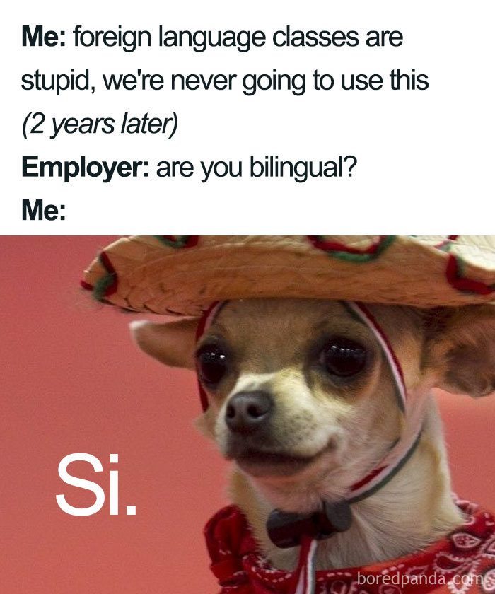 Our Best Spanish Memes of 2023 Revealed