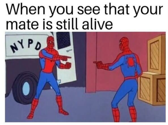 The Best Fortnite Puns and Memes of 2023 Unveiled